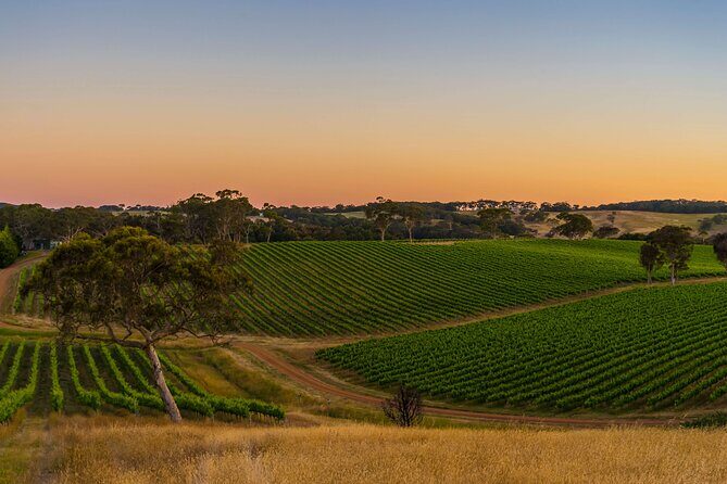 "Adelaide Hills Escape: Wine, Scenery, and Charm" - Key Points