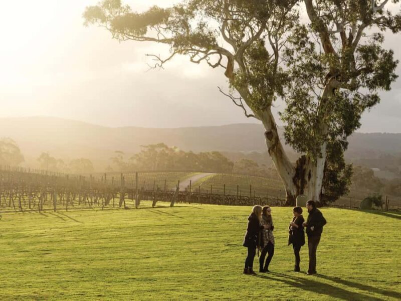 Adelaide Hills & Hahndorf: Hop-On Hop-Off Tour - FAQ  