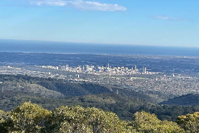 Adelaide Hills & Hahndorf Private Wine and Scenic Tour - Full Day - Is This Tour Right for You?