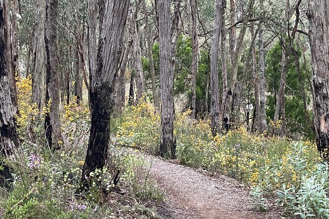 Adelaide Hills Nature Highlights Self-Guided e-Bike Tour - What to Expect on Your Adelaide Hills E-Bike Tour