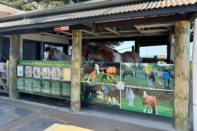 Adelaide Hills Private Day Tour - FAQ