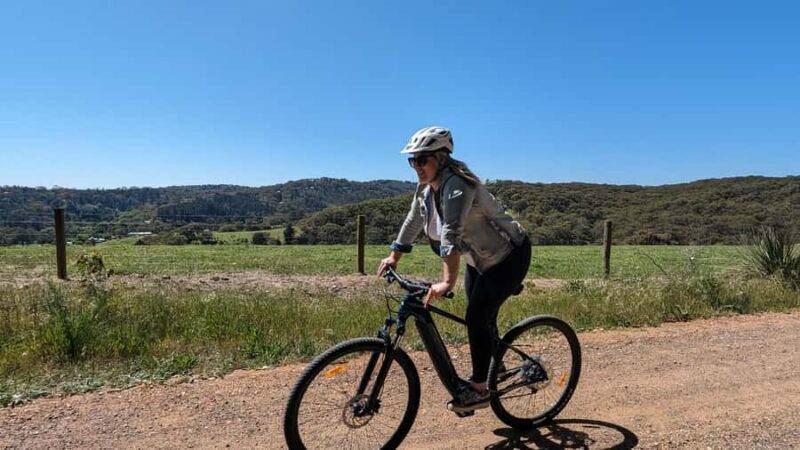 Adelaide Hills: Self-guided E-Bike wine tour with Lunch - Key Points