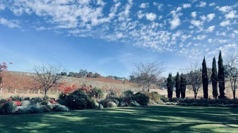 Adelaide Hills Tour - The Experience in Detail