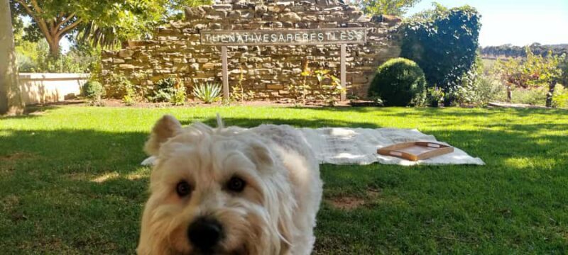 Adelaide Hills: Wine Tasting Tour with Lunch Option - FAQ