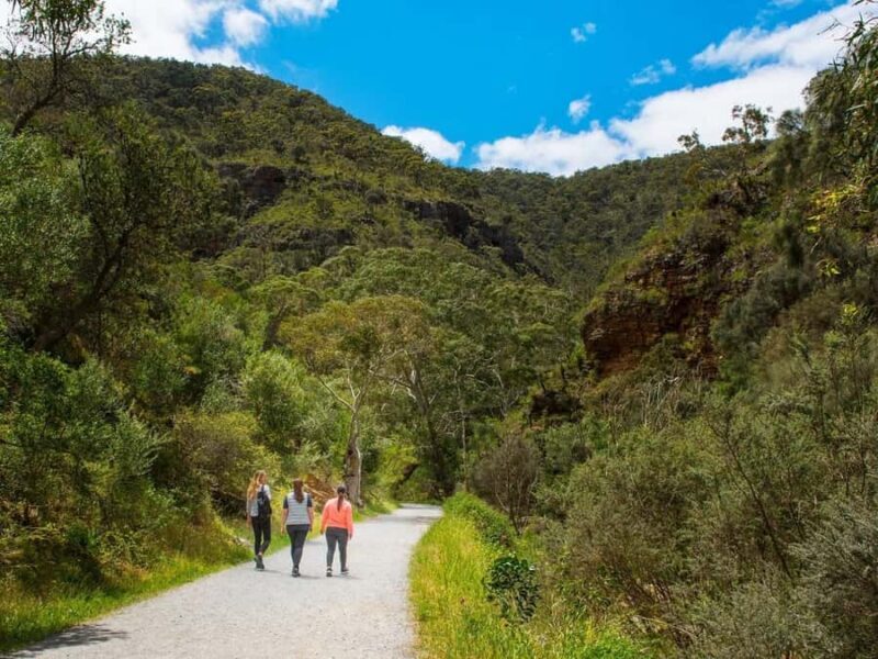 Adelaide: Morialta Wilderness and Wildlife Hike - FAQs