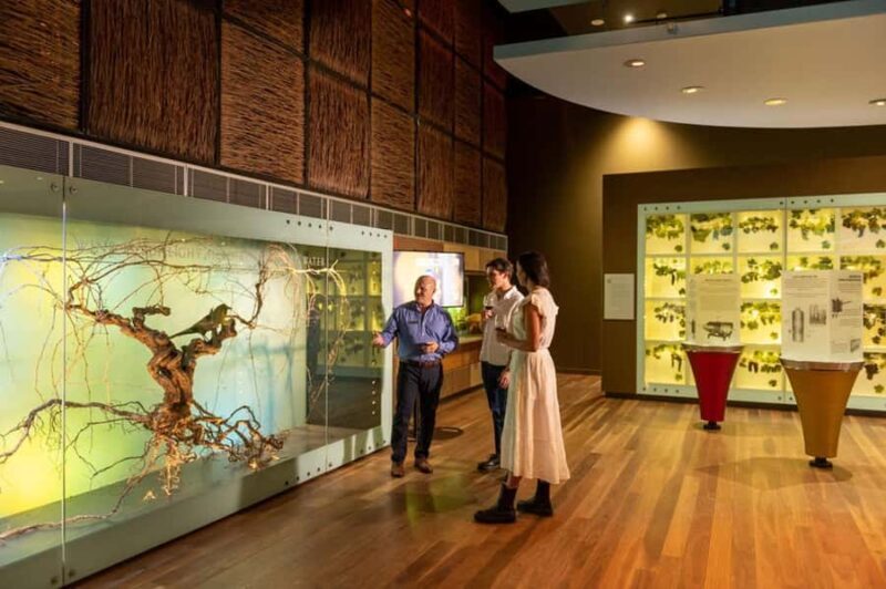 Adelaide: National Wine Centre Wine Discovery Journey - Setting and Location