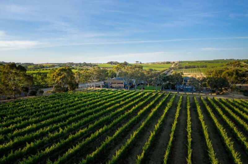 Adelaide: Premium McLaren Vale Wine and Brew Minibus Tour - Final Thoughts
