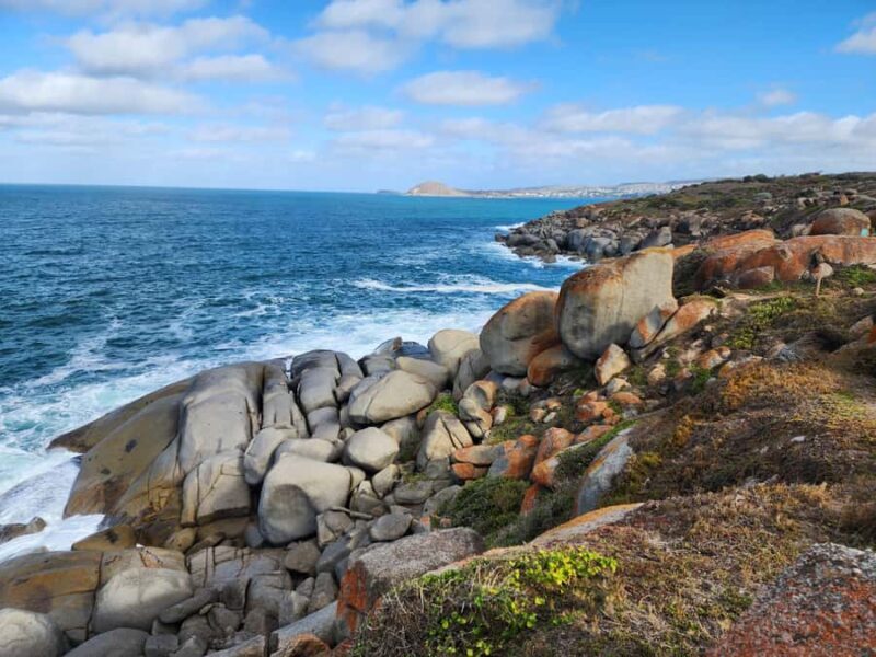 Adelaide: Premium Victor Harbor, Port Elliot and d'Arenberg - Authentic Experiences and Local Insights