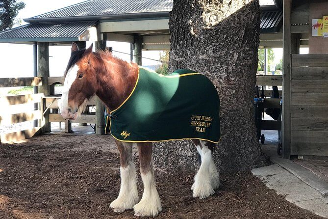 Adelaide: Private Boutique Wine Tasting & Sightseeing Tour - The Sum Up: The Value and Appeal of a Private Wine & Sightseeing Tour