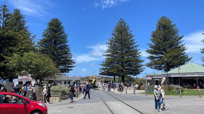 Adelaide: South Australia Guided Full-Day Highlights Tour - FAQs