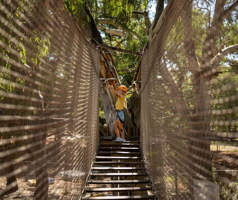Adelaide: TreeClimb Adelaide Climb For Little Adventurers - What is the TreeClimb Experience?