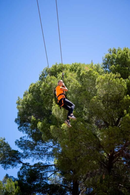 Adelaide: TreeClimb Adventure - Details That Make the Experience Special