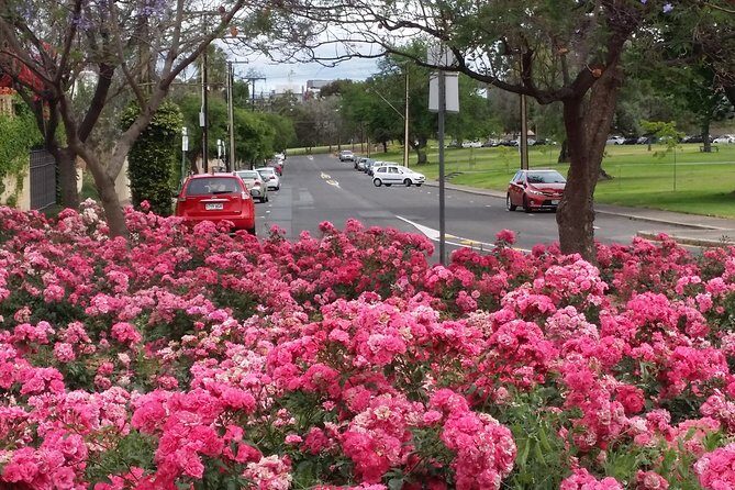 Adelaide Walking Tour: Hills, Squares and Parklands - Who Will Enjoy This Tour?