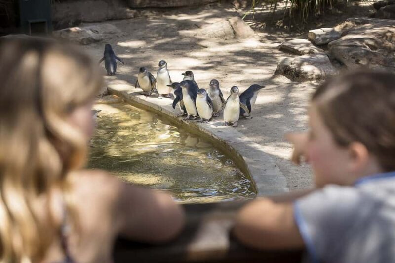 Adelaide Zoo: General Admission Tickets - An Overview of the Experience