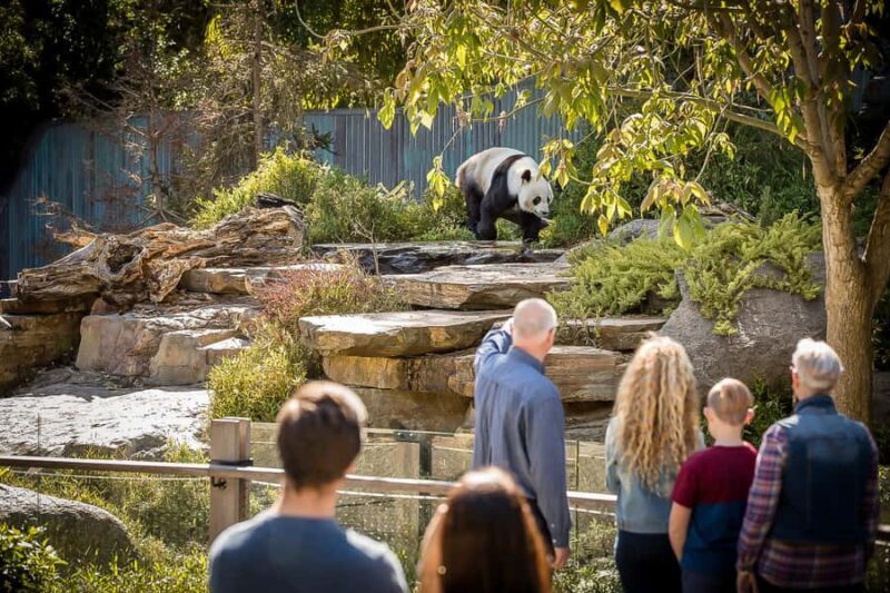 Adelaide Zoo: General Admission Tickets - Practical Tips for Your Visit