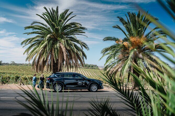 Adelaide's True Crime Tour - Group Size and Environment