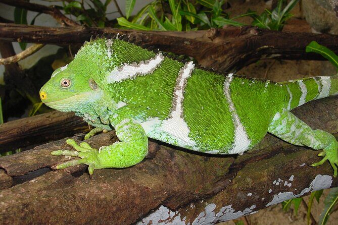 Admission + 2x Zip Line + Unlimited Water Slide Rides - FAQ