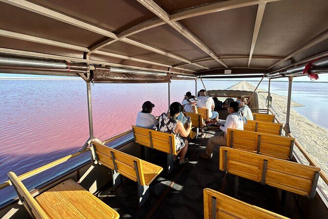 Admission Ticket to Safari in the Pink Lagoons of Las Coloradas - The Experience: What to Expect