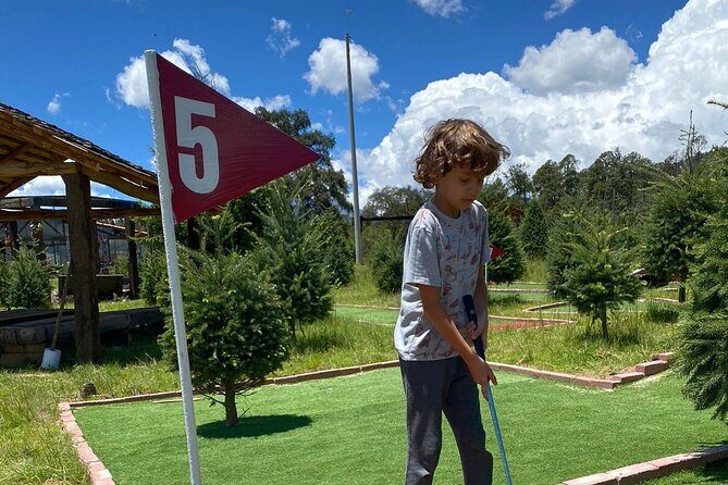 Admission to the Alpinia Nature and Adventure Park - Insight from Reviews: What Visitors Say