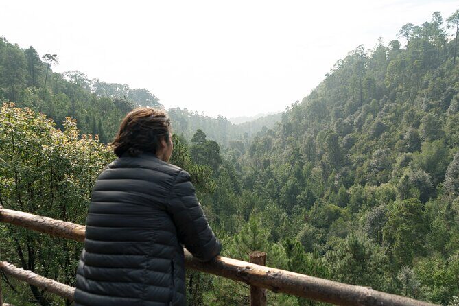 Admission to the Alpinia Nature and Adventure Park - FAQ