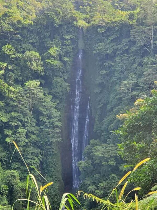 Adventour Samoa: Full Day Tour - Who Will Love This Tour?