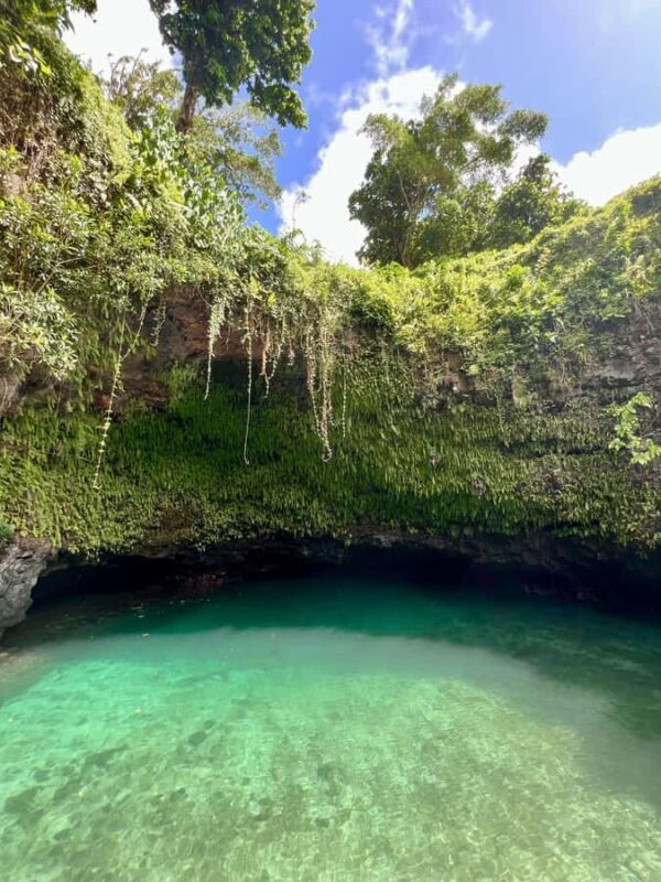 Adventour Samoa: To Sua Trench/Swimming Hole - Introduction: What Makes This Tour Special