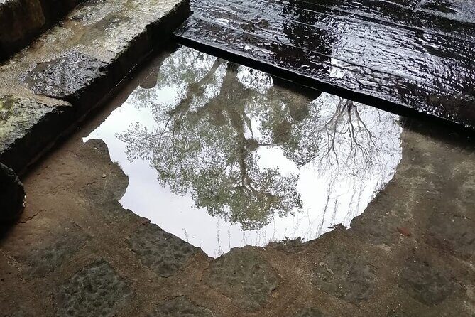 Adventure 4 cenotes with Izamal - Who Is This Tour Best For?