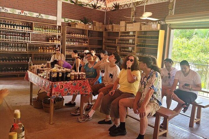 Adventure between Waterfalls and Jungle Private Service - Transportation & Overall Value