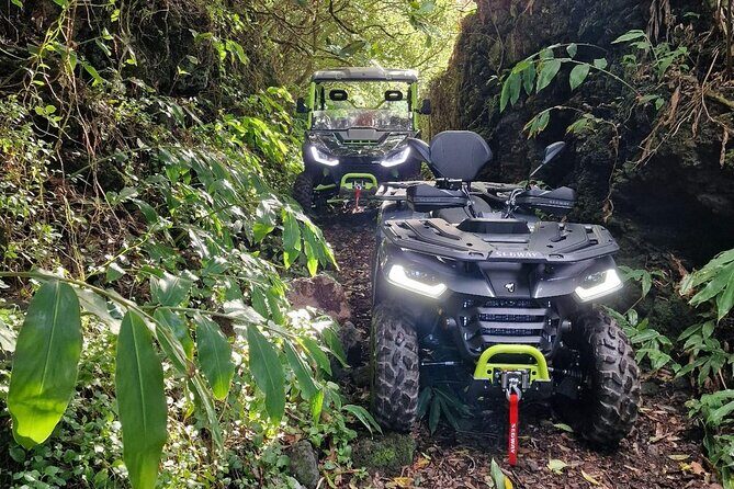 Adventure by buggy in Mount Pico - Key Points