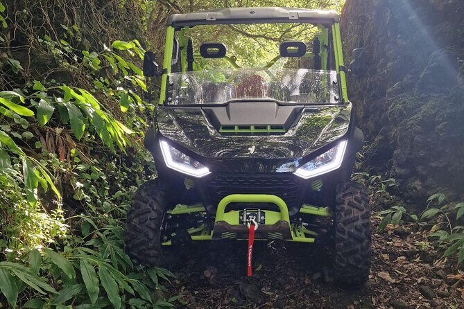 Adventure by buggy in Mount Pico - What to Expect from the Pico Buggy Tour