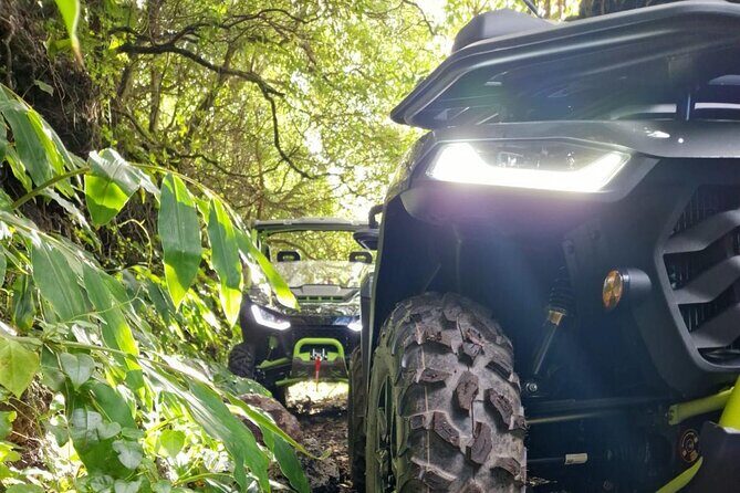 Adventure by buggy in Mount Pico - Why You Should Consider This Tour