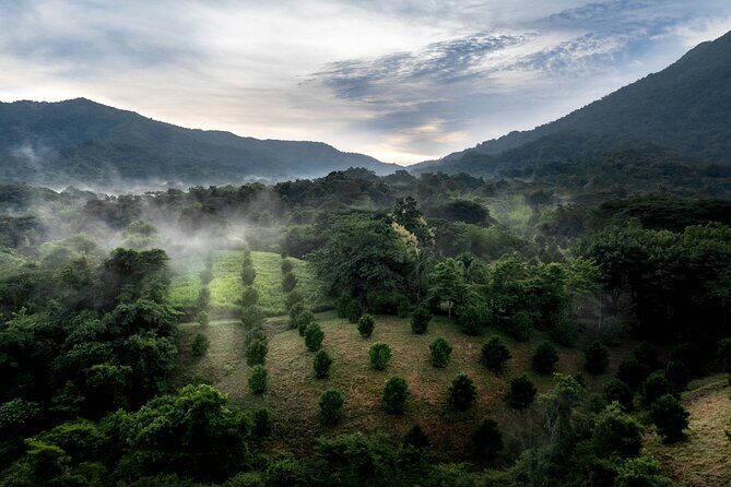 Adventure DE Ziplines and Exotic Gardens EN Huatulco - Who Is This Tour Best For?