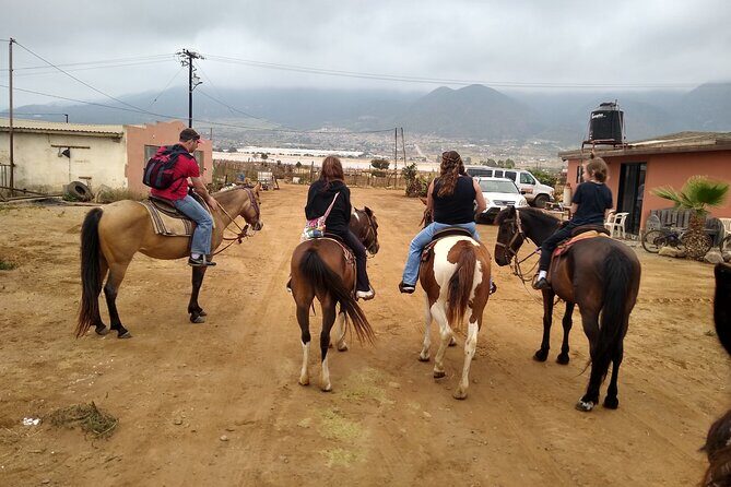 Adventure Delight The Ultimate Combo Ride at Desert Trails - The Experience in a Nutshell  