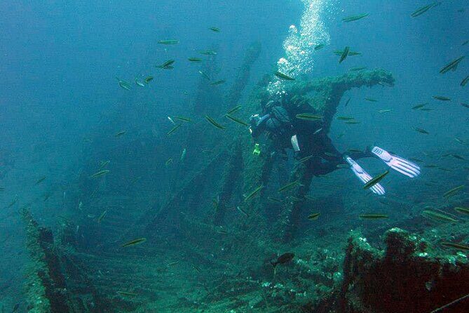 Adventure Dives for Certified Divers in Nea Makri, Athens - Exploring the Underwater World Near Athens