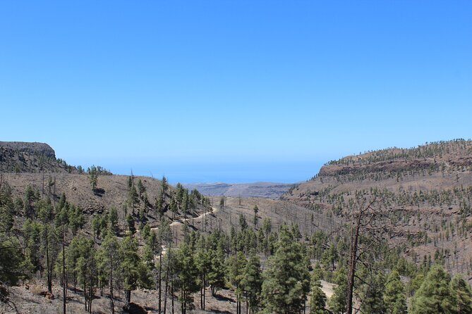 Adventure Driving Jeep Tour in Gran Canaria - Final Thoughts: Is It Worth It?