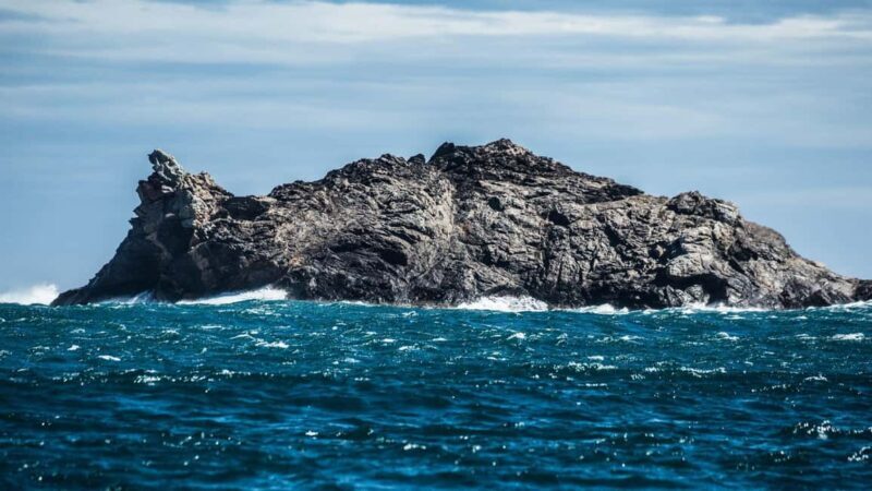 Adventure in Cap de Creus: Discover and Swim in a Wild Cove - Discovering the Tour’s Highlights