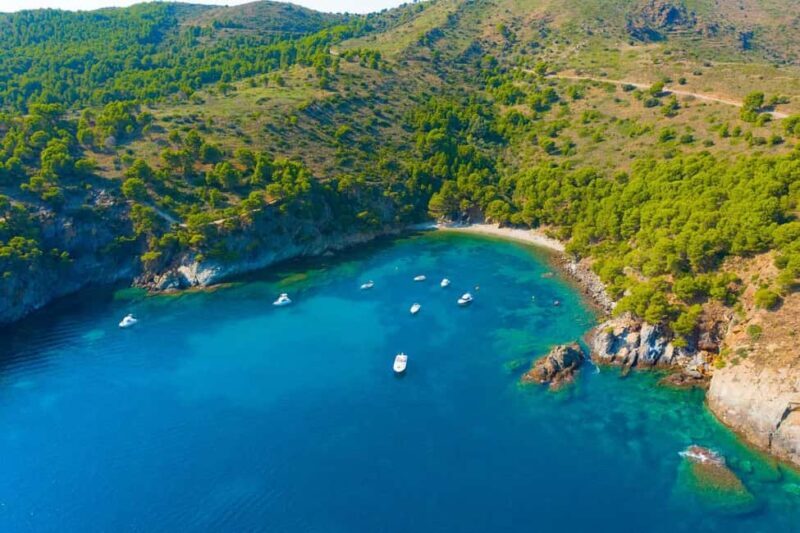 Adventure in Cap de Creus: Discover and Swim in a Wild Cove - The Authentic Experience and Its Drawbacks