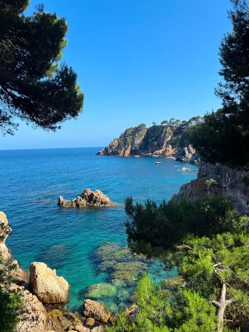 Adventure in Cap de Creus: Discover and Swim in a Wild Cove - Who Is This Tour Best For?
