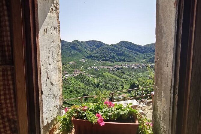 Adventure in the Prosecco Hills by Yellowboot - How the Tour Works: From Venice to the Prosecco Hills