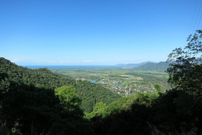 Adventure on a Budget Visit Kuranda or Palm Cove from Pt Douglas - Considerations and Tips