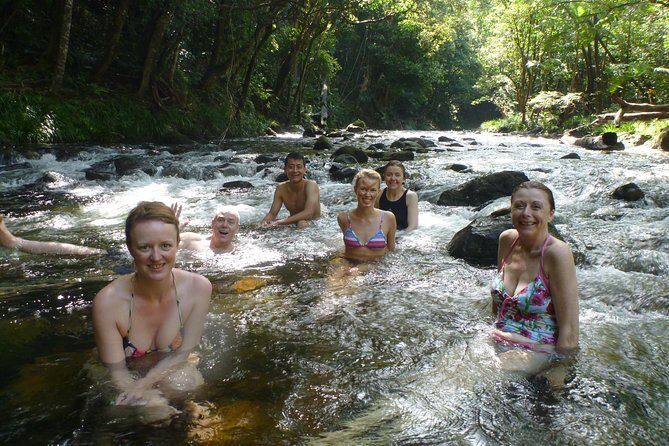 Adventure on a Budget Visit Kuranda or Palm Cove from Pt Douglas - Who Is This Tour Best For?