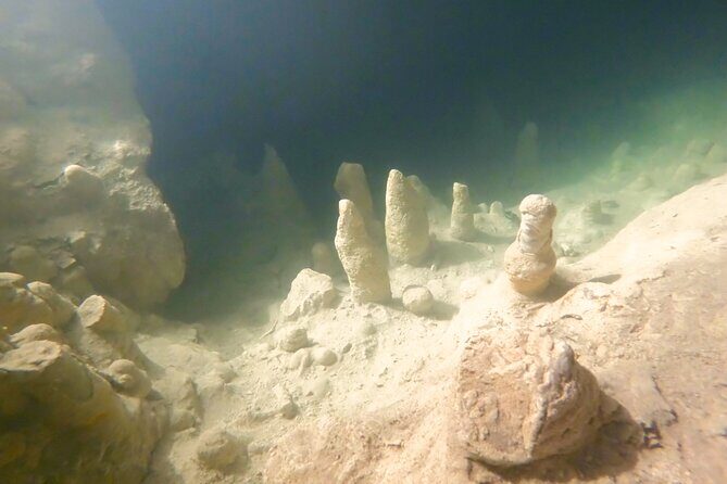 Adventure on the cenote route with zip line and typical lunch - What You Can Expect from the Activities  