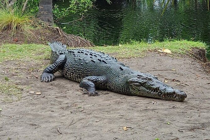 Adventure on the Emerald Coast Ventanilla, Mazunte, Puerto Ángel - Practical Details to Consider