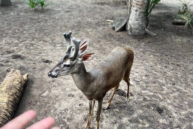 Adventure on the Emerald Coast Ventanilla, Mazunte, Puerto Ángel - Who Will Love This Tour?