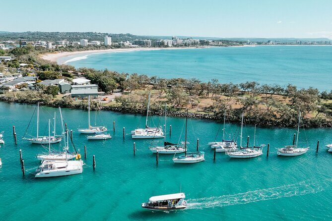 Adventure Rafting - Mooloolaba Turtle Tour - Final Thoughts