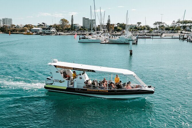 Adventure Whale Watching Tour Mooloolaba - Why This Tour Offers Great Value