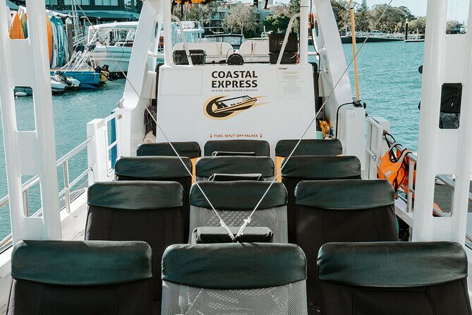 Adventure Whale Watching Tour Mooloolaba - Who Should Book This Tour?