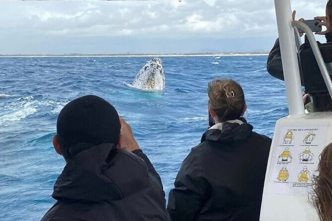 Adventure Whale Watching Tour Mooloolaba - FAQ