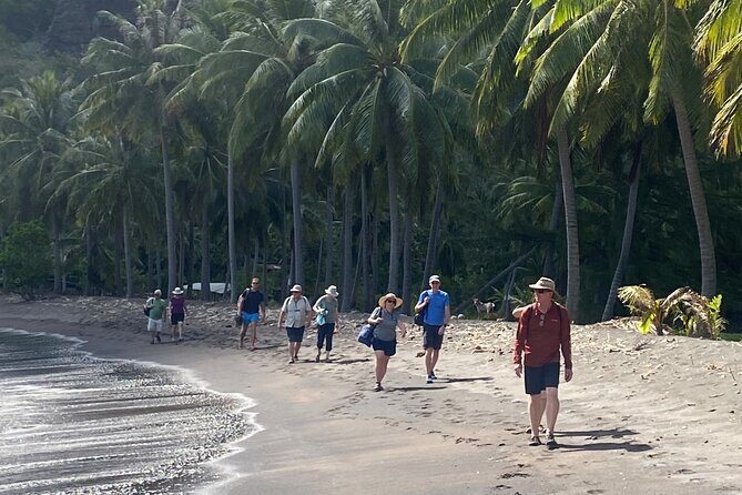 Adventurous Escape to Hakaui Valley - A Deep Dive into the Experience