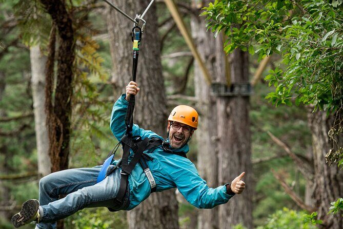 Adventurous Zipline Tour in Coromandel - Who Should Consider This Tour?